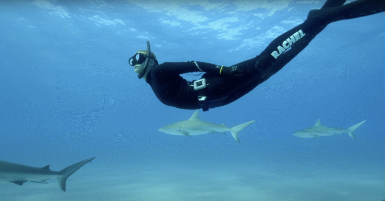 SHARK! Celebrity Infested Waters - who's taking part and when