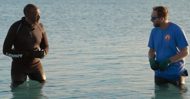 SHARK! Celebrity Infested Waters: Meet the experts on ITV show