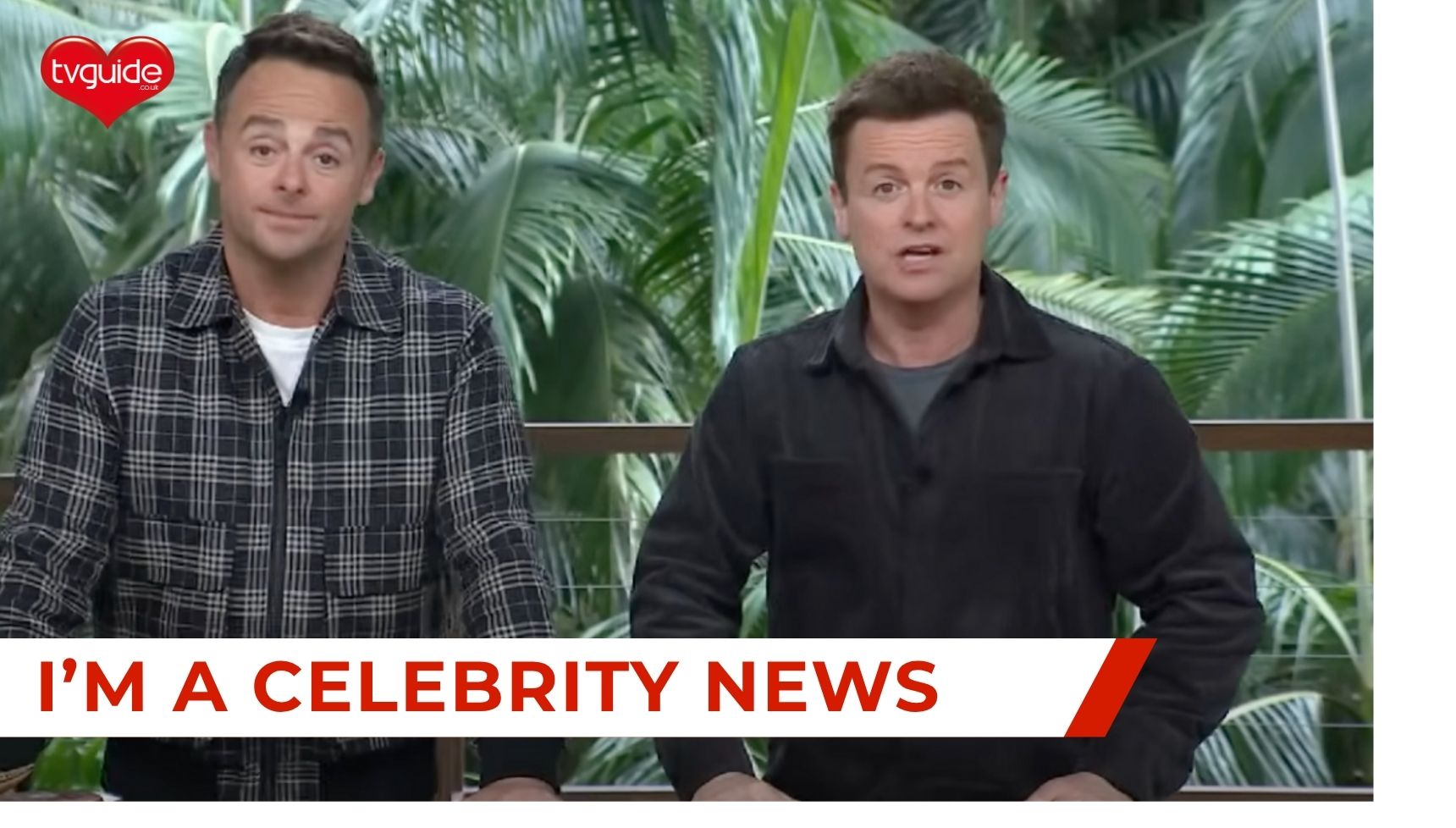 I'm A Celebrity reveals new logo and titles revamp for 2025 series